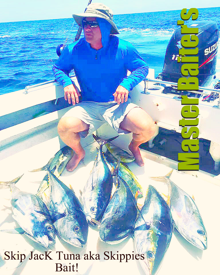 09 04 2019 Skip Jack Tuna at 10 lbs, huge, MBText 1000 pxls - Master ...